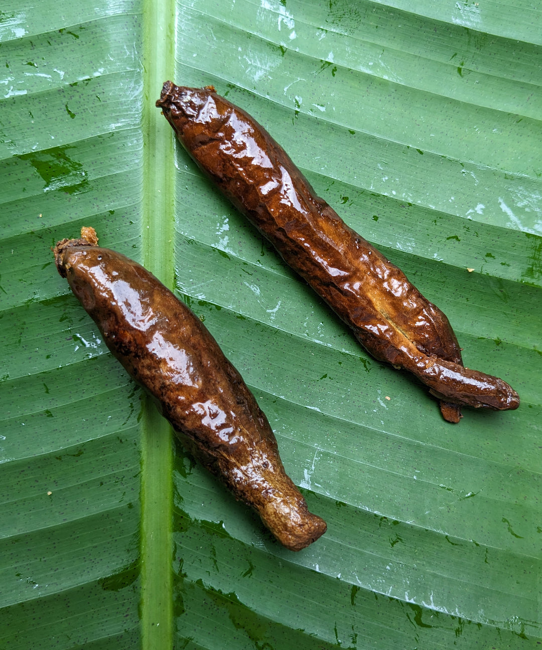 Majjige Menasu – Benaka Malnad Stores